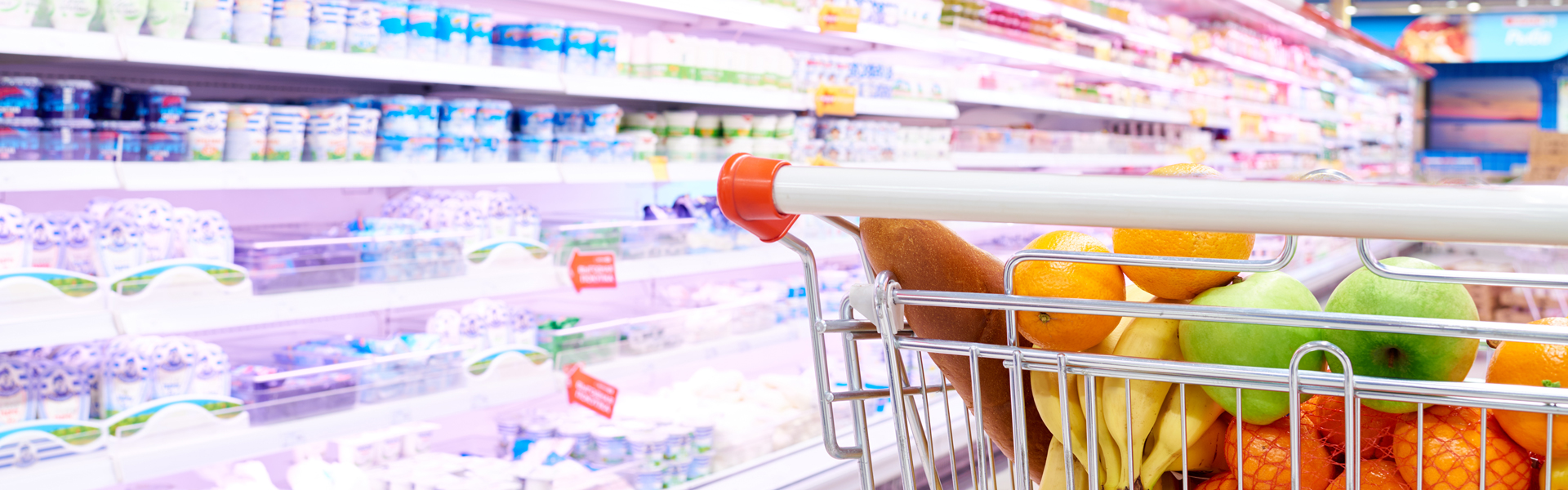 Mechanical insulation of refrigeration equipment | Armacell